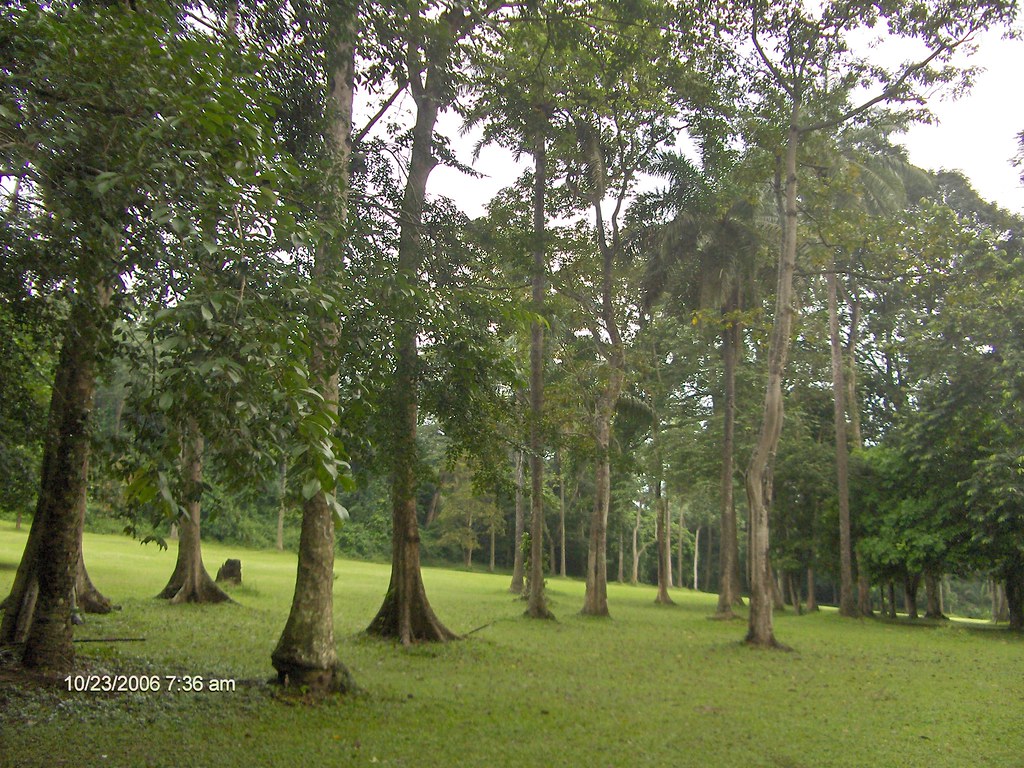 NIGERIAN GOLF COURSES | SkyscraperCity Forum