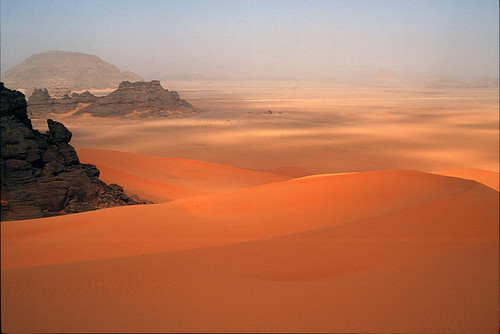 ** MENA Nature & Biodiversity ** | Page 3 | SkyscraperCity Forum
