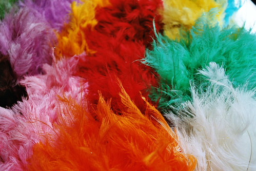 Ways you can be involved in Liverpool’s biggest carnival ever ...